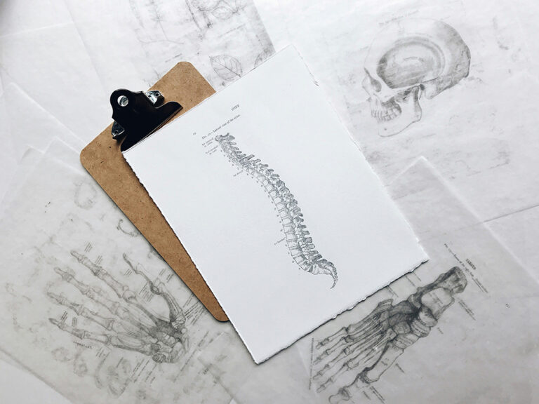 Why a Deep Understanding of Anatomy Is Crucial in Physiotherapy – One Physio Therapy Reading Blog